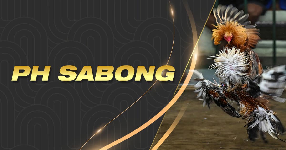 Best Sabong Breeds for sabong playing | Expert Insights from Sabong ...